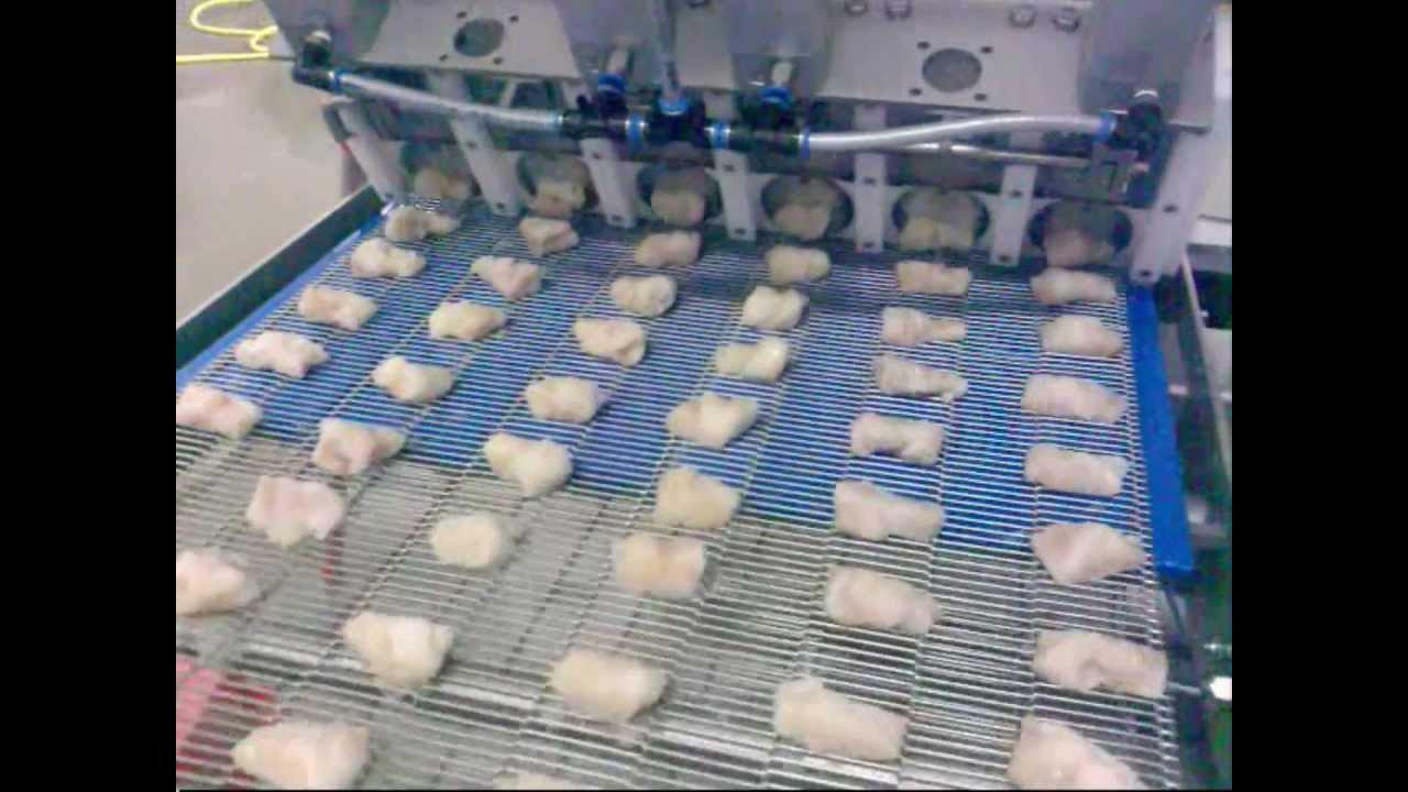 Fish nuggets production - YouTube