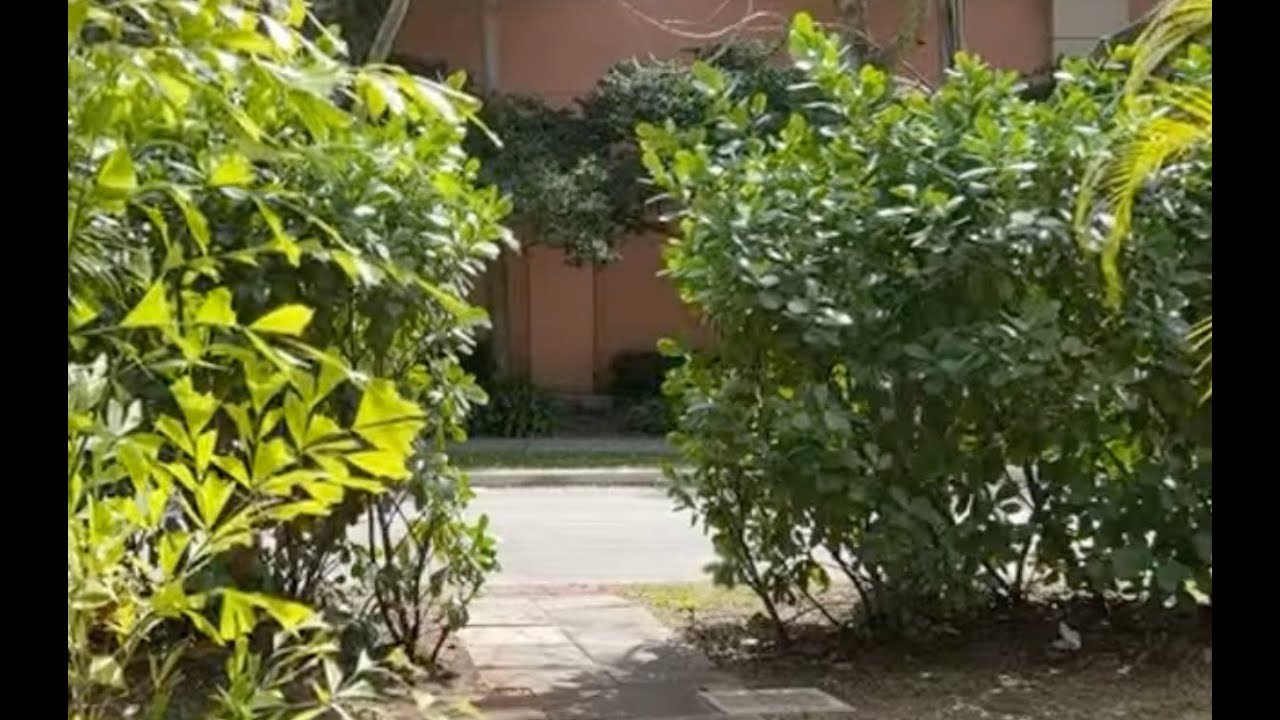 Ambience: Fort Lauderdale, Florida at Daytime - YouTube