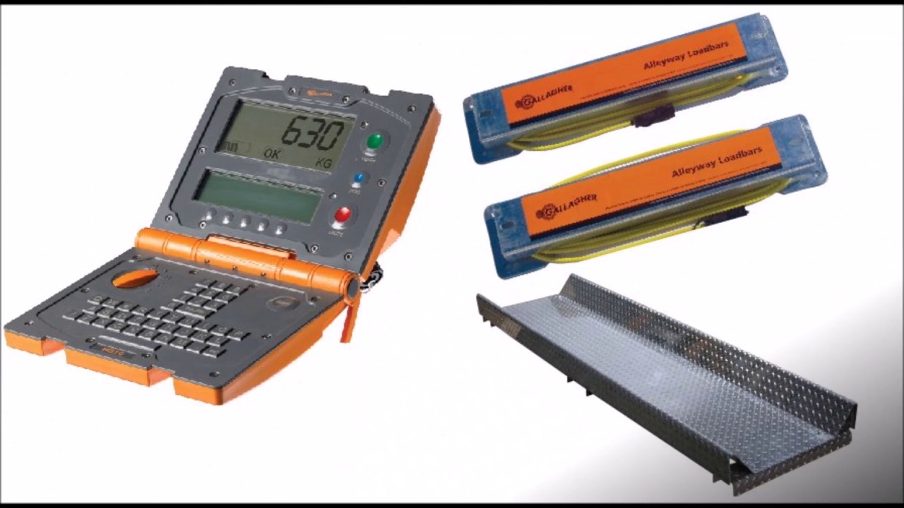 The Gallagher 810 Cattle / Livestock Scale Package - YouTube