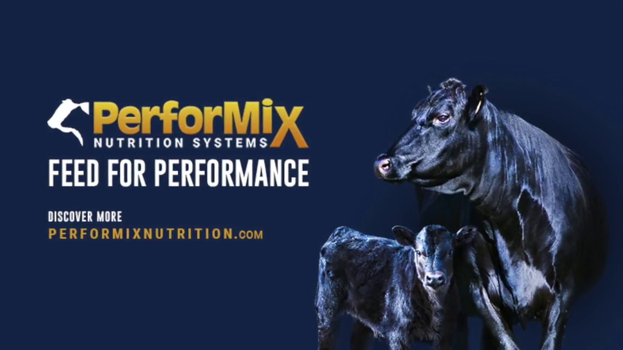 Customer Testimonial - Performix Nutrition Rumax BoviBox - Livestock ...