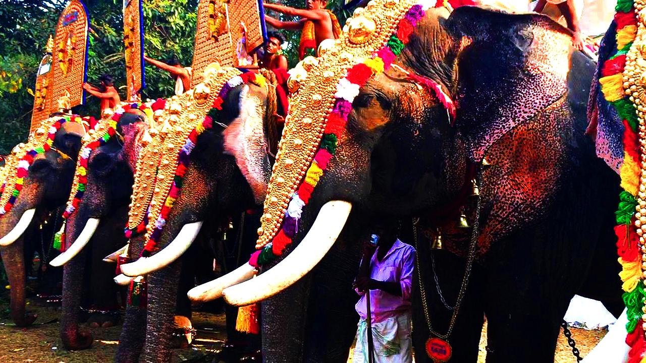 Amazing Famous Elephants Pooram Fest in Kerala with Panchavadyam - YouTube
