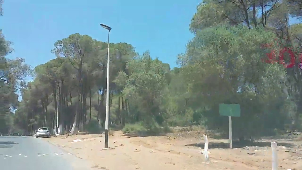 غابة بوشاوي الرائعة-وجهة عائلية|forêt de Bouchaoui-une destination ...
