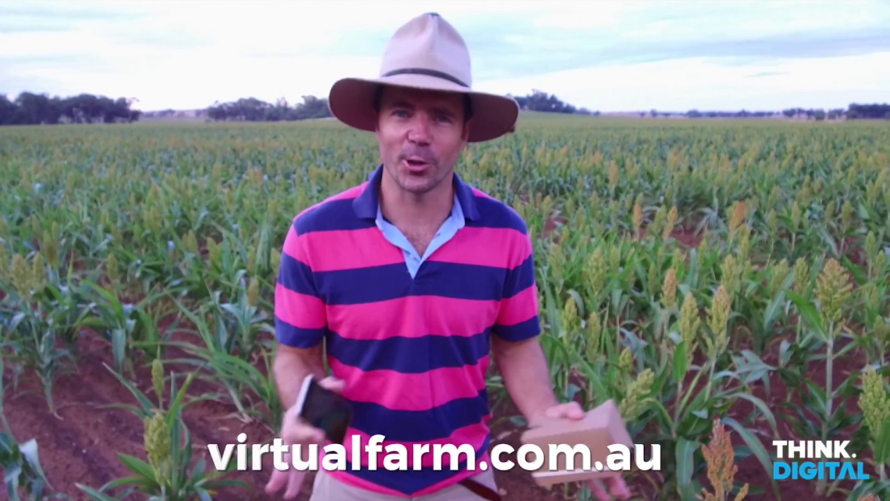 Virtual Farm - Virtual Reality Agricultural Experience - YouTube