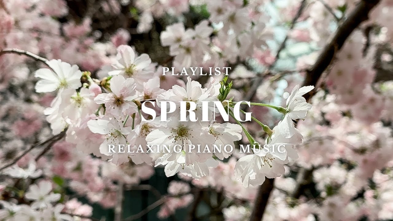 [PLAYLIST] Spring Piano Music | Healing music to relax your mind | 봄에 ...