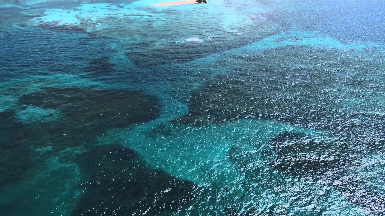 Amazing Short 4K Demo for Your Monitor UHD - YouTube