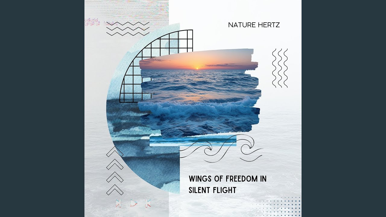 Wings of Freedom in Silent Flight - YouTube
