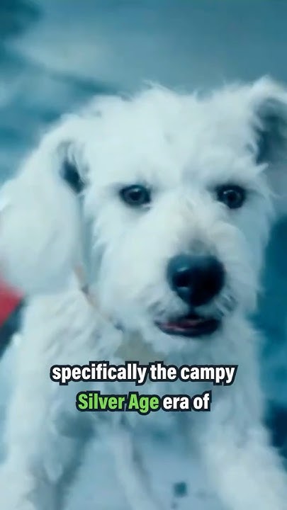 Superman: Should You Watch It? | Plugged In Movie Review - YouTube