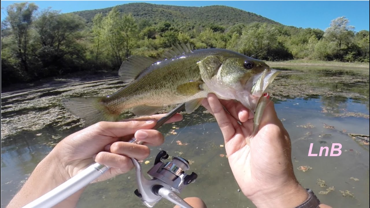 MINI PEN ROD Fishing for Bass - penfishingrods.com - YouTube