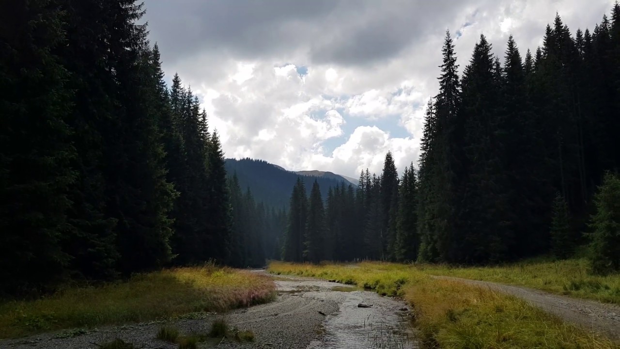 Pe Râul Lotru, în drum spre Lacul Gâlcescu, Transalpina - Descopera ...