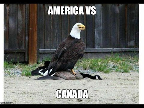 JD Vance makes Europeans cry. - YouTube