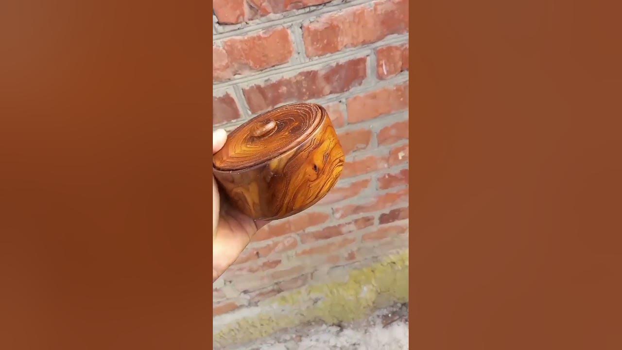 порода дерева Финик 🌲🌳🍃 - YouTube
