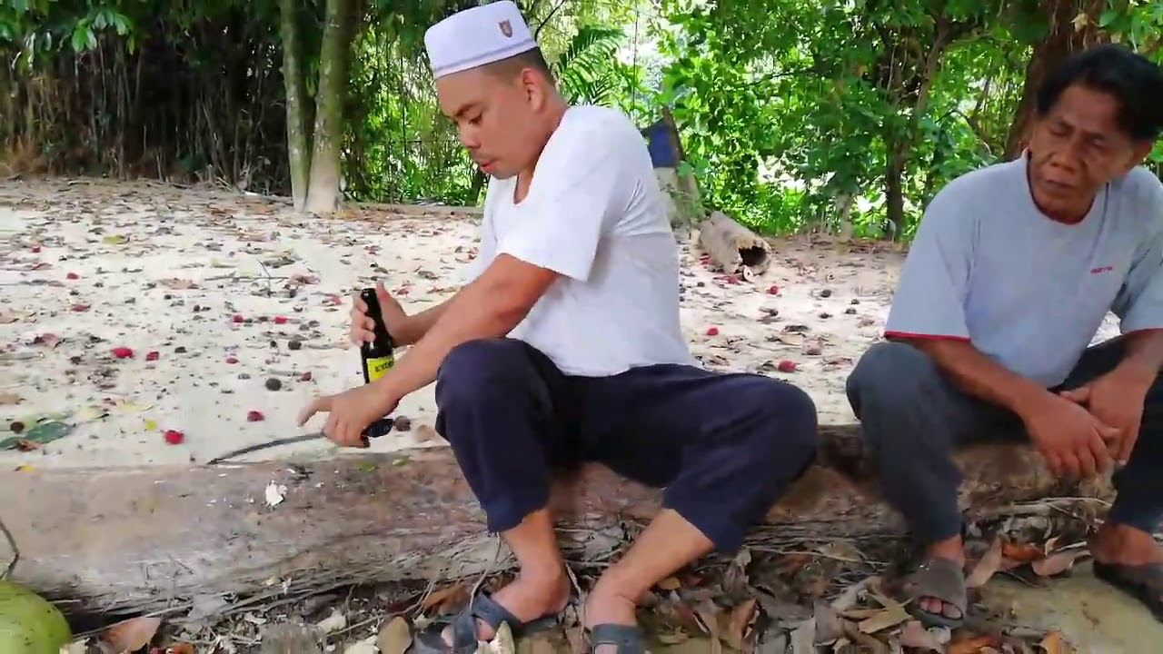 Kena Santau Lihat Video Ini Bagaimana Nak Merawat Santau - YouTube