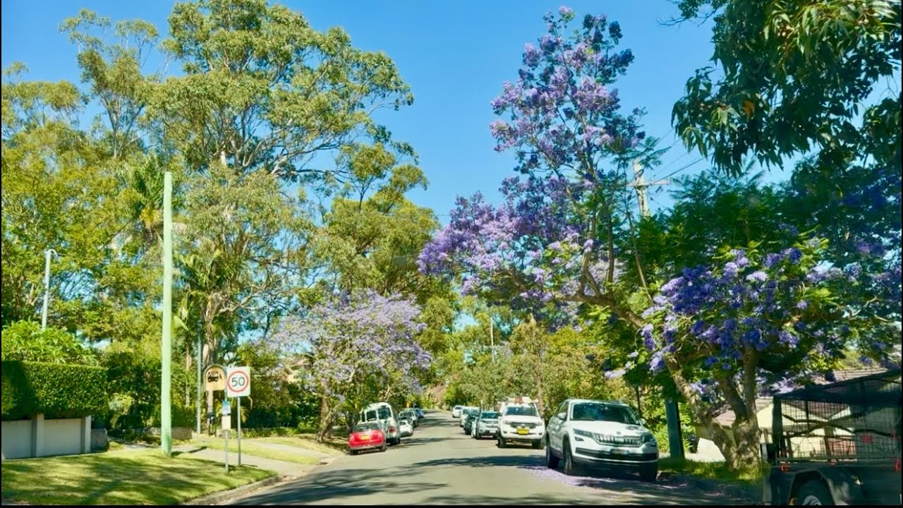 Sydney in spring - YouTube