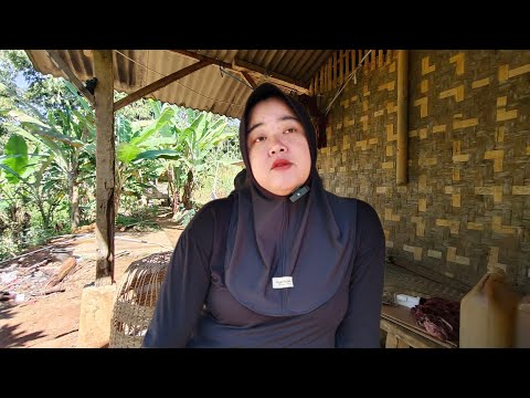 EH BARU KETEMU LAGI SAMA SI JANDA MONTOK‼️ DI KIRA KEMANA TERNYATA? 