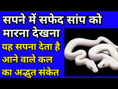 सपने में सफेद सांप को मारना | sapne me safed saap ko marte huye dekhna ...
