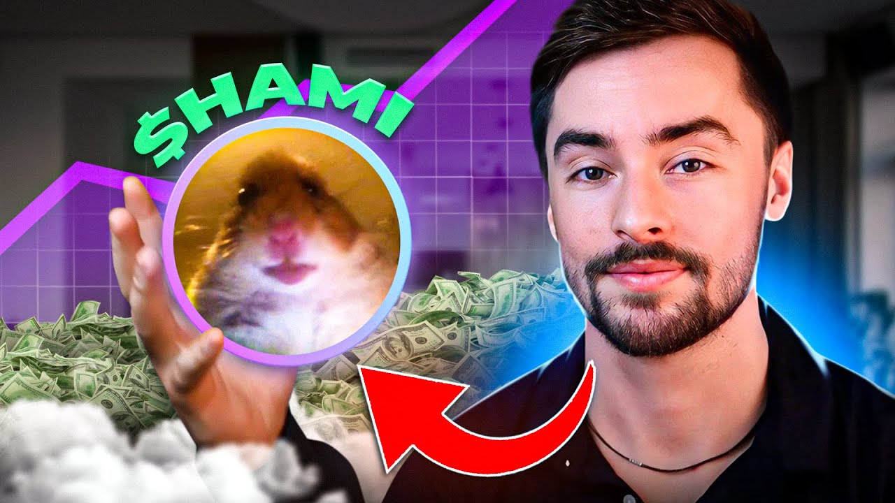 Running a Multi-Million Dollar Solana Meme Coin Project ($HAMI Update ...