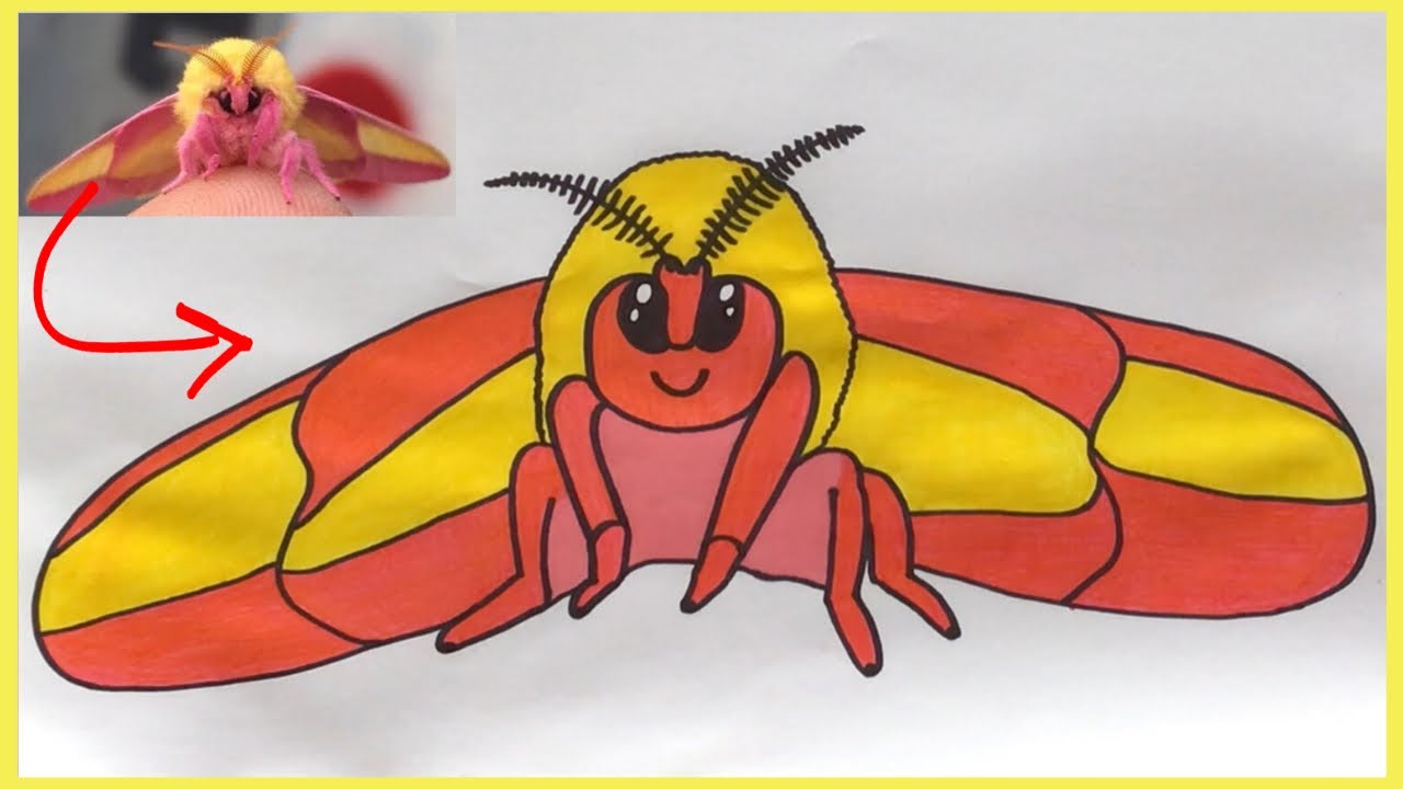How to draw Milkshake Moth ️ Strawberry Banana Milkshake Moth! - YouTube