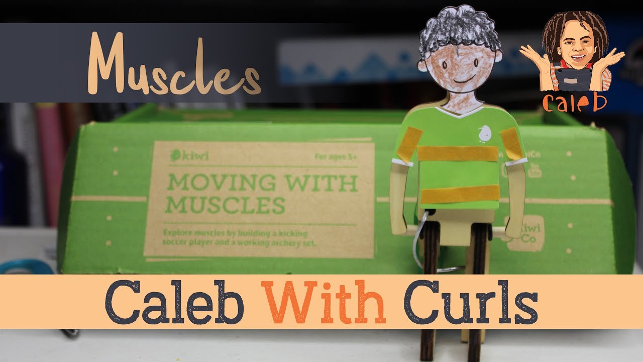 Muscles - Educational Videos for Kids - Caleb With Curls - YouTube