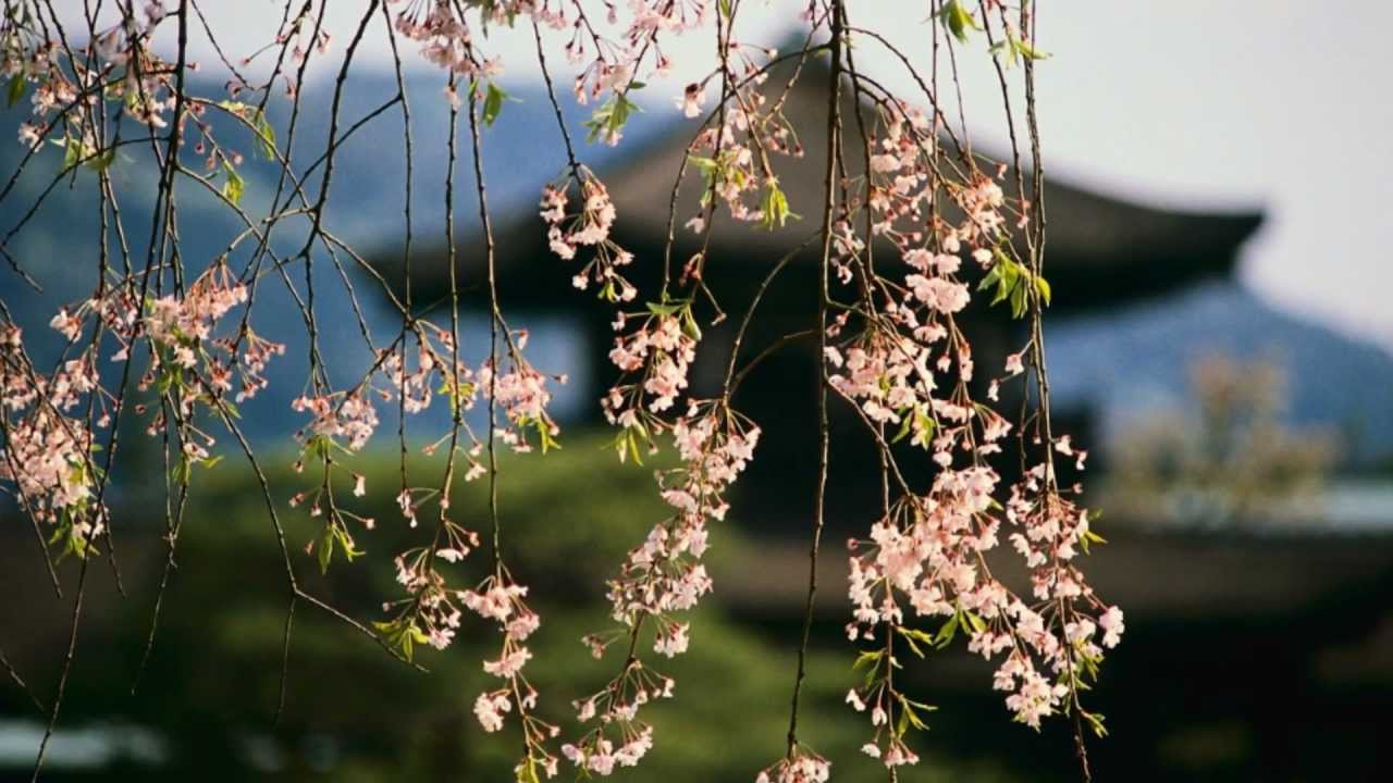 Noriko San Nidiyanna - YouTube