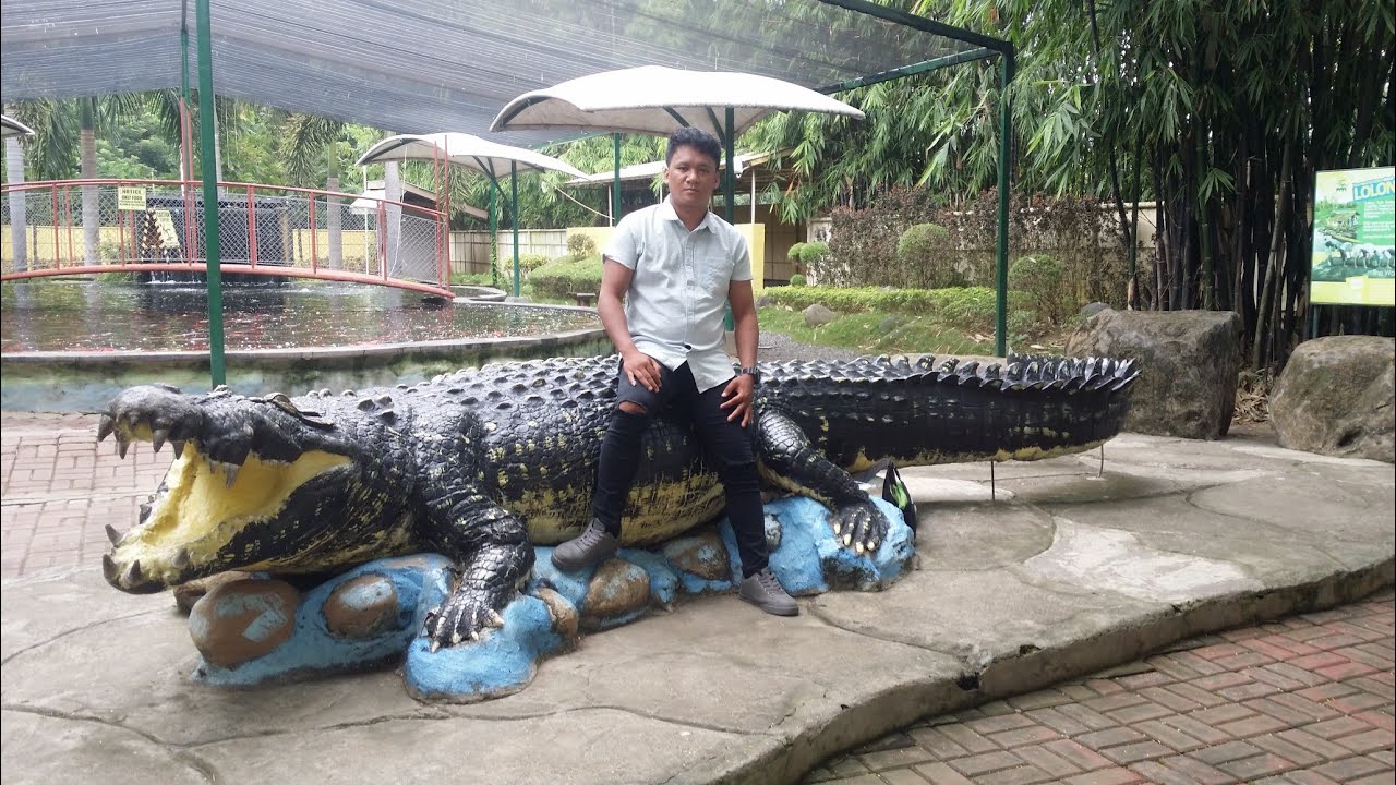 Wandering Davao Crocodile Park & Zoo | Part 2 - YouTube
