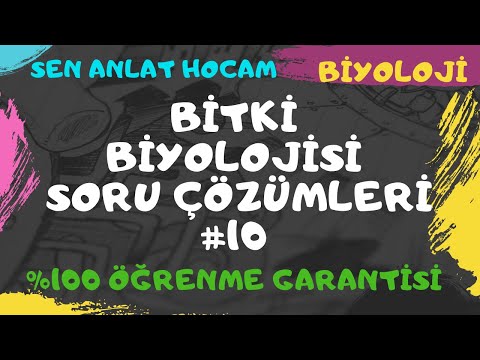 BİTKİ BİYOLOJİSİ SORU ÇÖZÜMLERİ 10 | AYT BİYOLOJİ | ✅