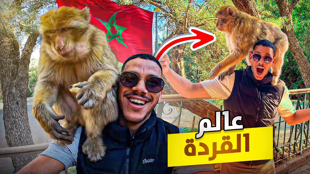 زيارة شلالات أوزود العالمية🌏 يجب عليك زيارة هذا المكان السفر الى المغرب ...