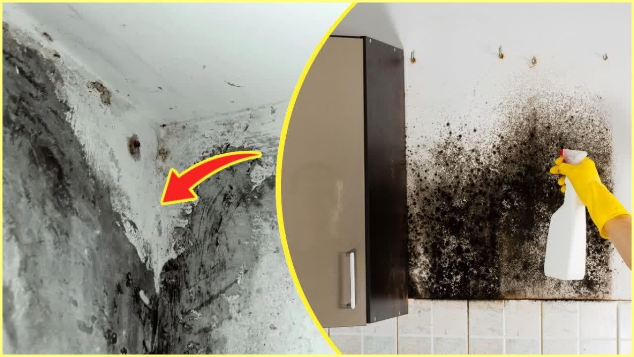 Voici comment éliminer l’humidité des murs naturellement - YouTube