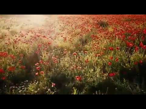 Super klip super mahni baxmaqa deyer