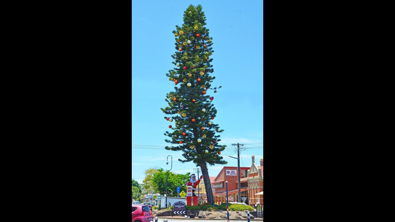 Lismore's Wonky Christmas Tree - YouTube