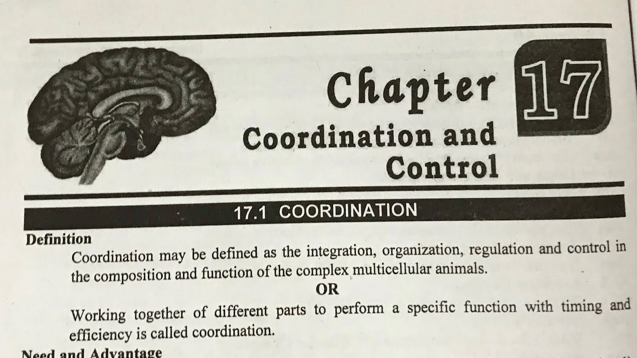 Biology Chap:17 (Coordination and control) for class:12 (fsc pre ...