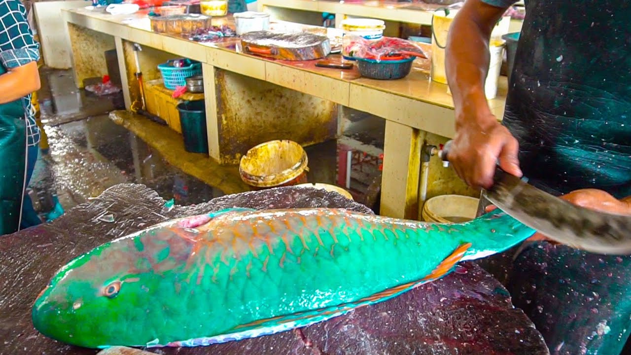 RARE FISH CUTTING VIDEO || WORLD LARGEST LIVE FISH CUTTING MARKET - YouTube