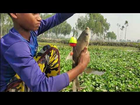 Best Hook Fishing Video / Little Boy Hunting Big Fish With Hook Beautiful Nature - YouTube