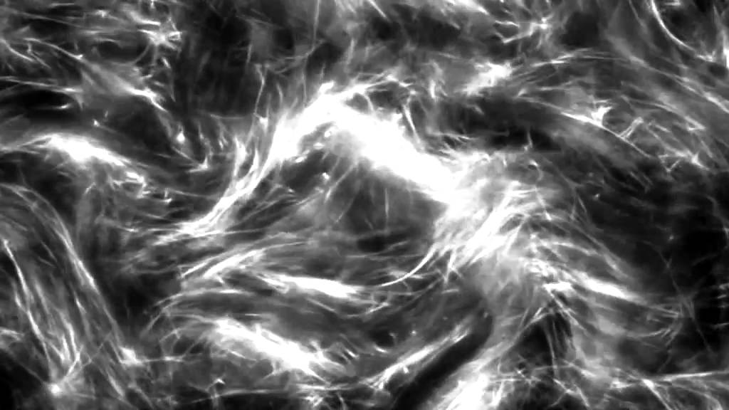 Bioinspired Soft Materials Center blurs boundaries between the animate ...