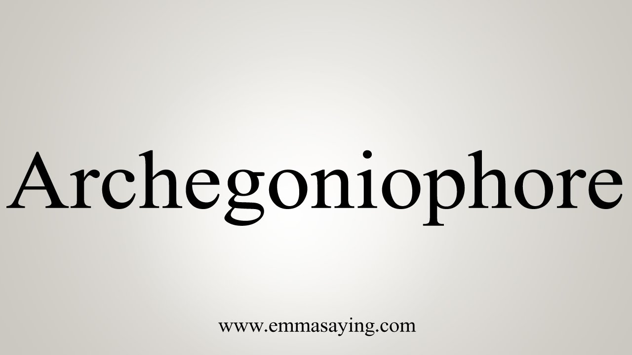 How To Say Archegoniophore - YouTube
