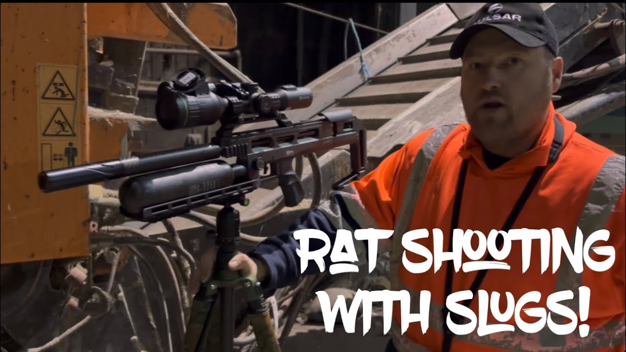 Rat shooting with premier slugs. - YouTube