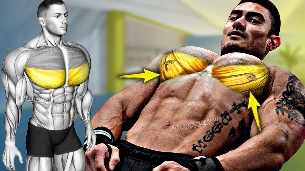 5 Best Exercises "LOWER CHEST" Workout - YouTube