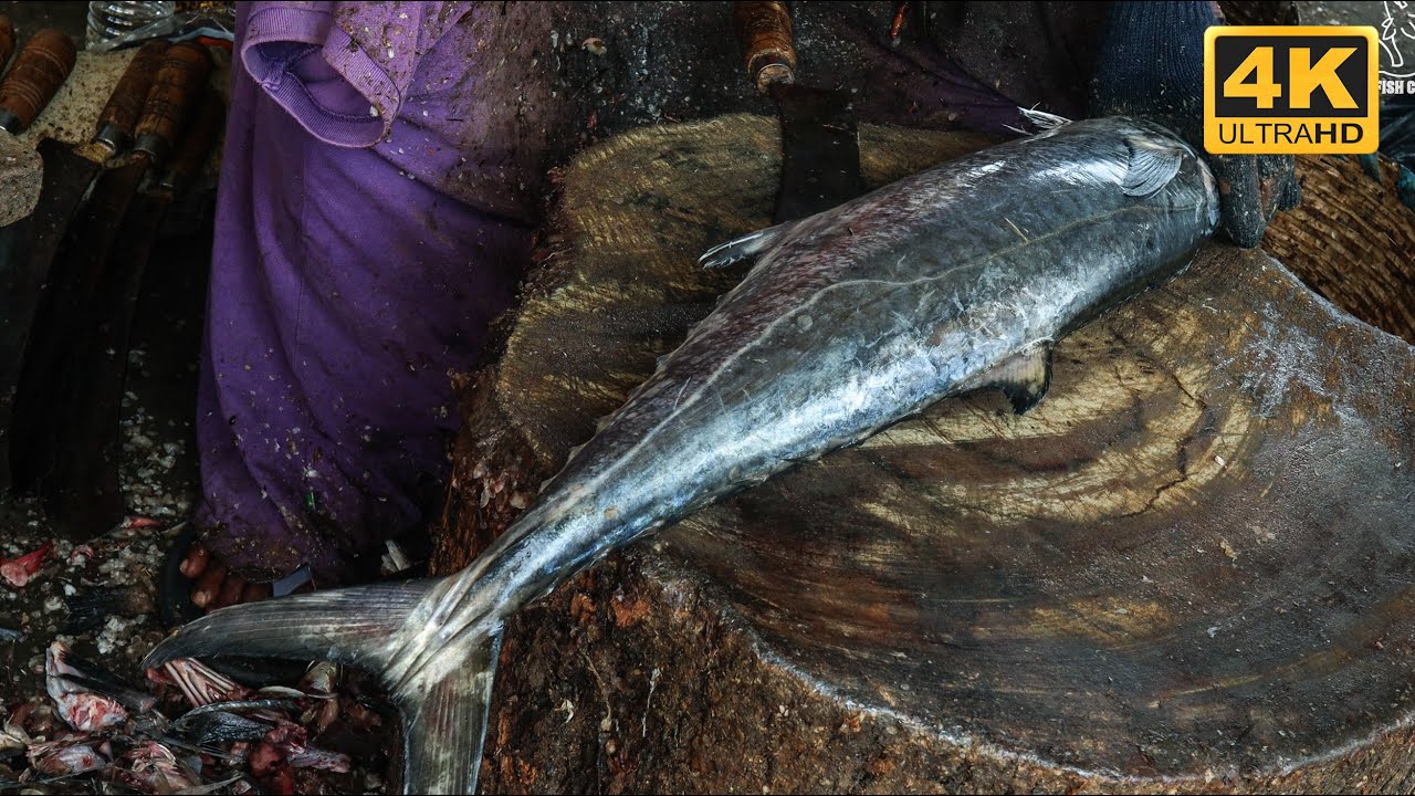 BIG VANJARAM/SEER FISH SLICE CUTTING VIDEO | 4K | BIG FISH CUTTING ...