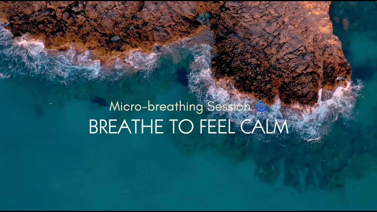 Breathe to Feel Calm 😌 - Micro-breathing Session - 5 Minutes Long ...