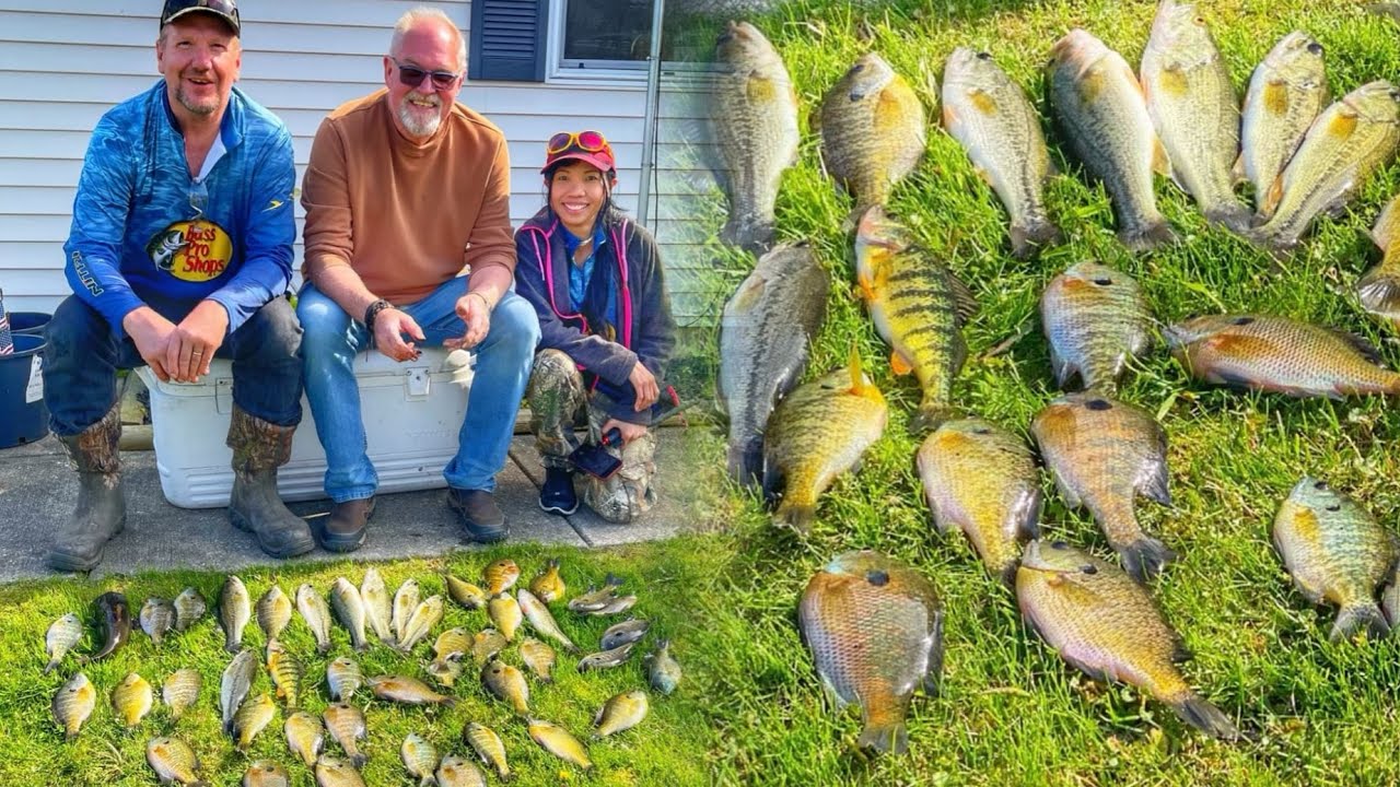 Bluegill fishing and bass.#fishing #pondfishing - YouTube