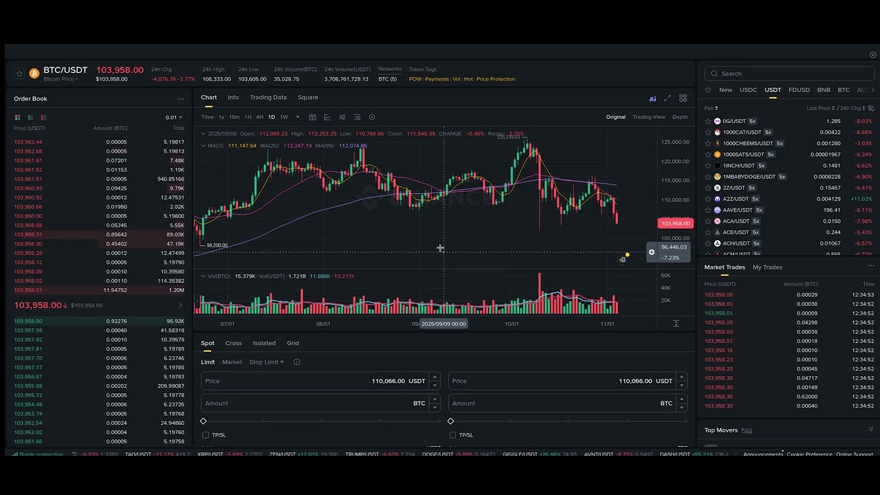 LIVE BTC/USDT CHART: Real-Time Bitcoin Price Tracker (Current Market ...