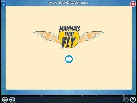 Lexia Core 5 Reading Level 13 Passage Fluency 2 Skill Check - YouTube