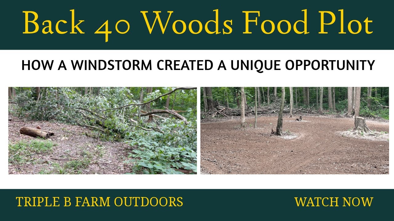 Creating a Food Plot in the Woods - YouTube
