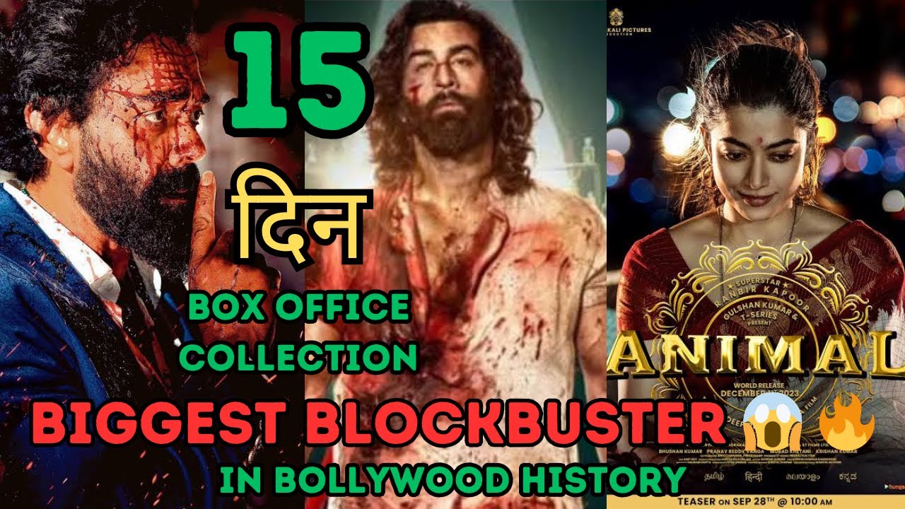 Animal Worldwide Box Office Collection Till Now | Animal Box Office ...