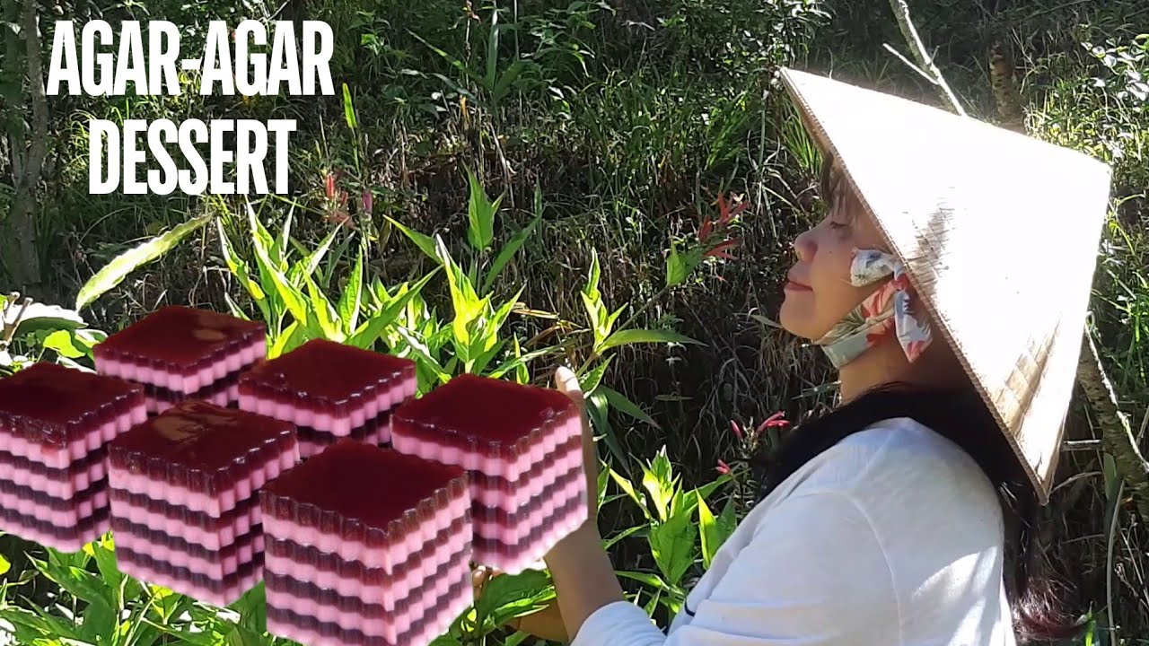 Mai huong Food | Agar-agar dessert recipe with purple leaves picked ...