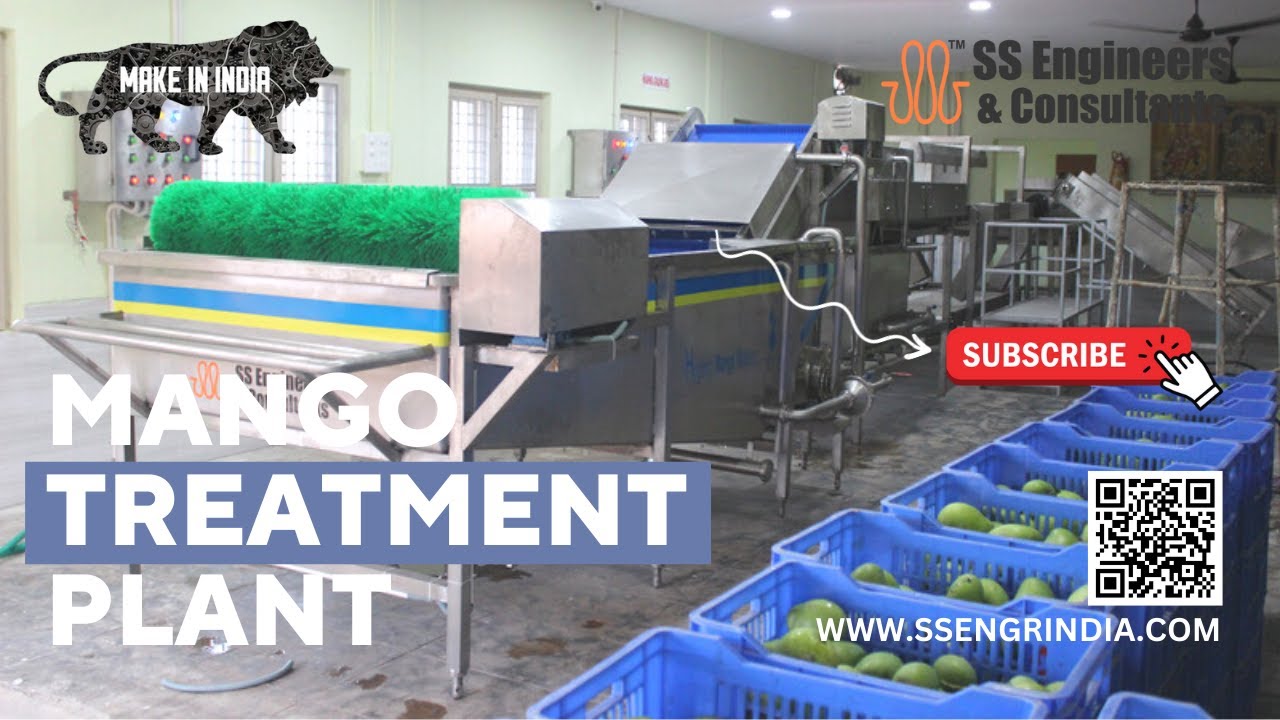 Mango Treatment Plant | Mango processing 🥭| #ssec #ssengrindia - YouTube