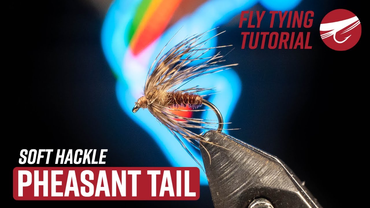 Soft Hackle Pheasant Tail | FLY TYING TUTORIAL - YouTube