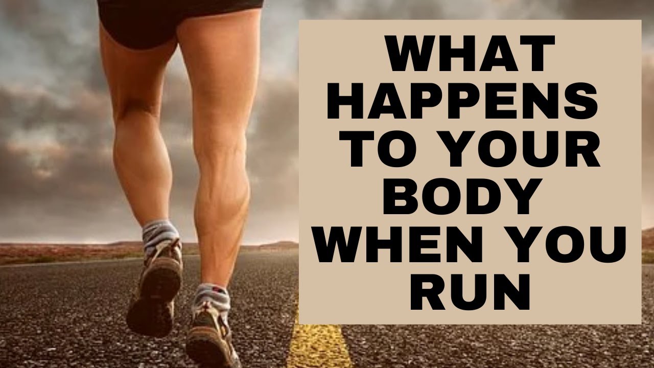 What happens when you run | Your body when you run | This happens to ...
