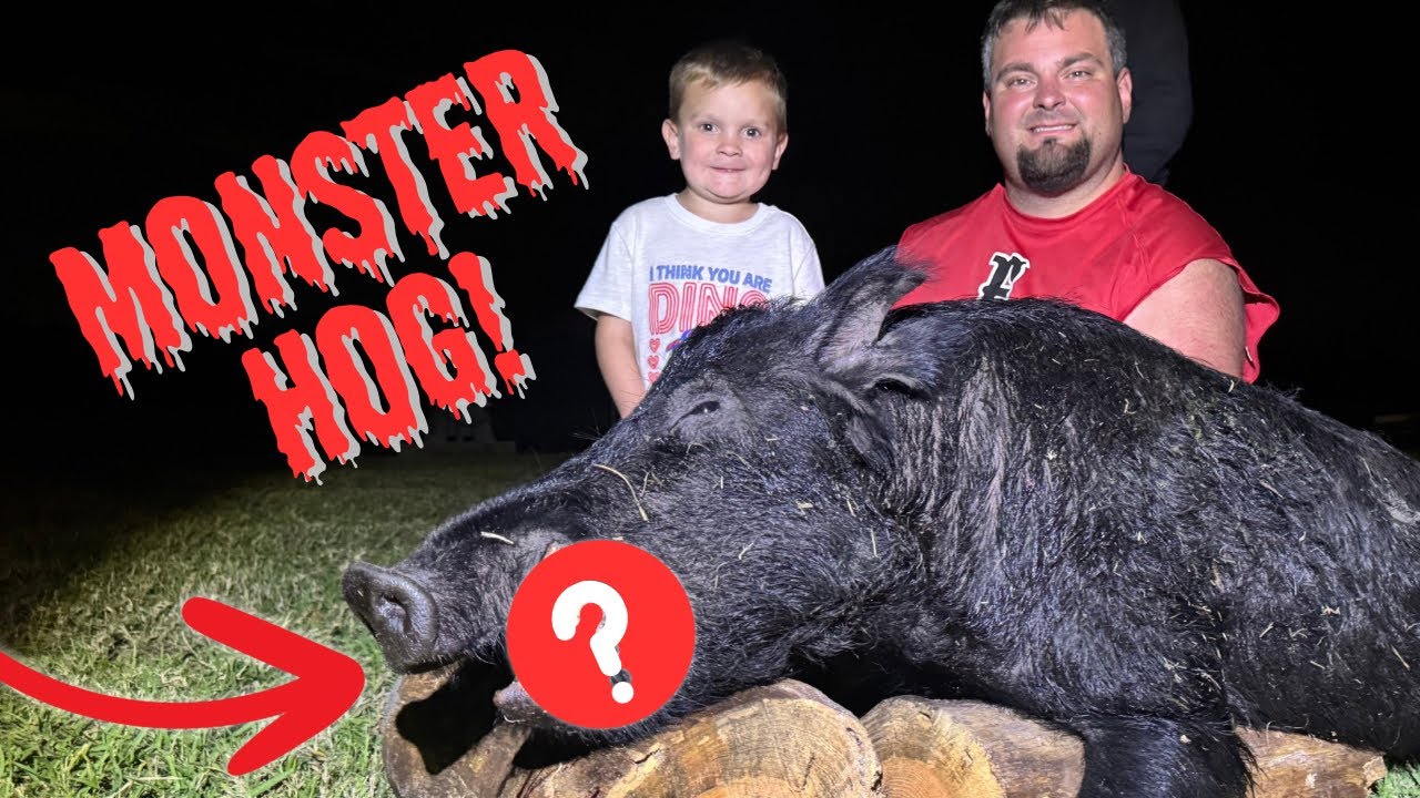 GIANT WILD BOAR With DANGEROUSLY SHARP TEETH! | HOGZILLA QUEST! - YouTube