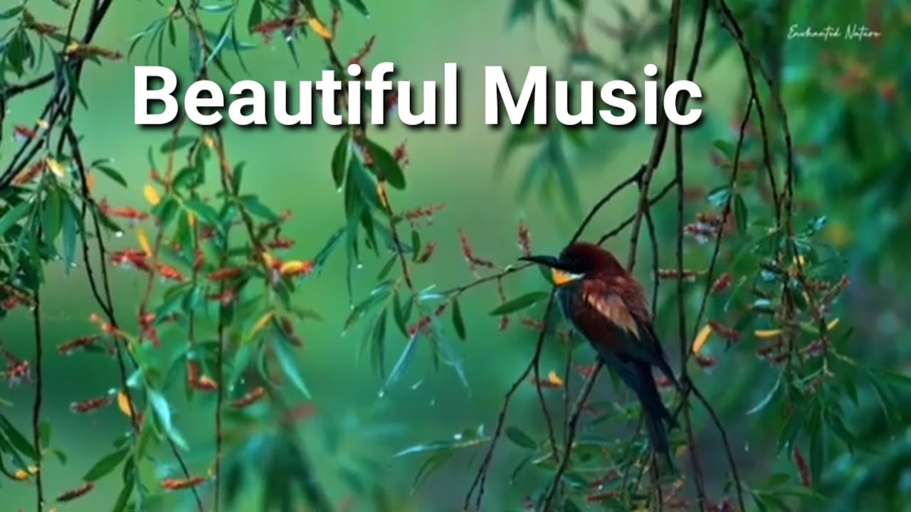 Relaxing Music, Stress Relief Music, Happy Music, Beautiful Nature ...