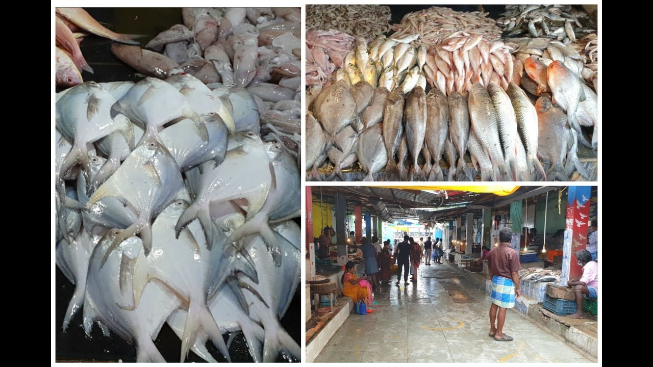 Avadi Fish Market Walkthrough 1080p 60fps Video | All Variety of Fish ...